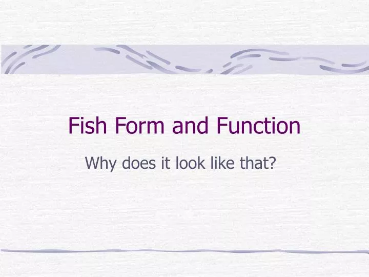 PPT - Fish Form and Function PowerPoint Presentation, free download ...