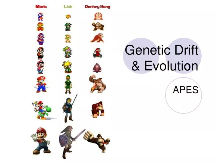 PPT - Genetic Drift & Evolution PowerPoint Presentation, free download ...