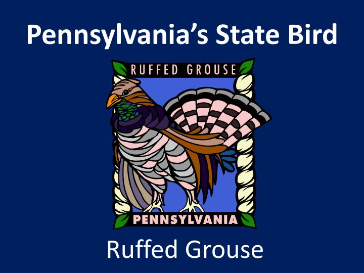 PPT - The Symbols of Pennsylvania PowerPoint Presentation - ID:1780344