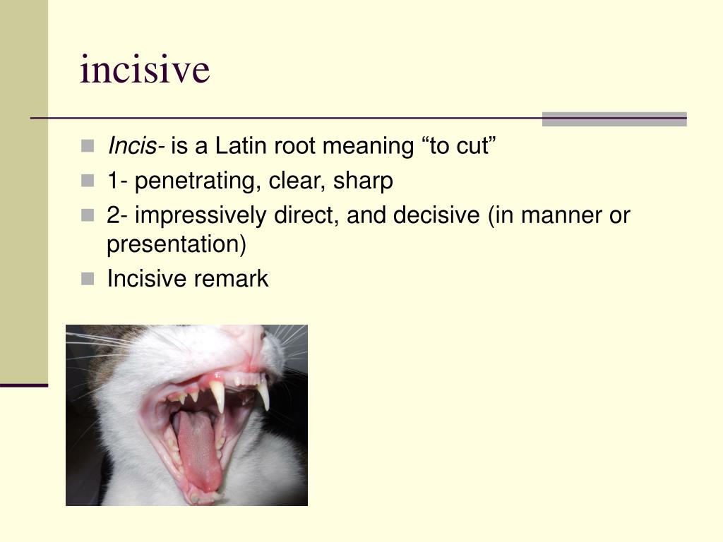 PPT - 11th grade Vocabulary PowerPoint Presentation, free download - ID ...