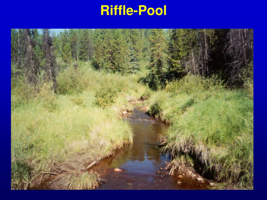 PPT - Overview Fish and Fish Habitat Inventory of the MILLIGAN and ...