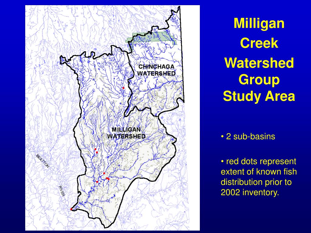 PPT - Overview Fish and Fish Habitat Inventory of the MILLIGAN and ...
