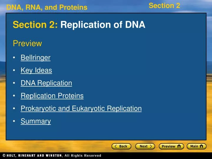 PPT - Section 2: Replication of DNA PowerPoint Presentation, free ...
