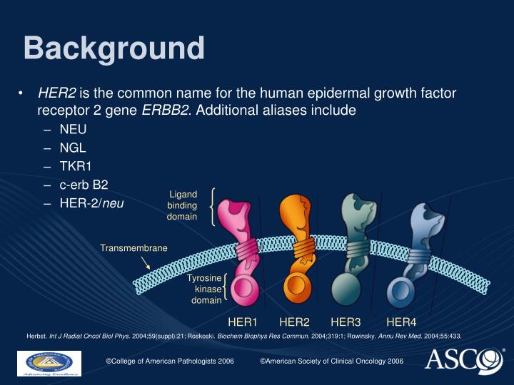 PPT - Guideline Recommendations for HER2 Testing in Breast Cancer ASCO ...