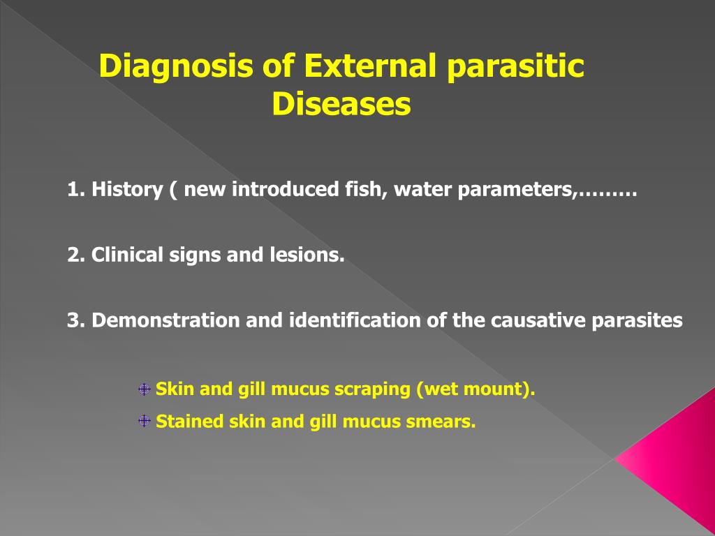 PPT - Parasitic Diseases in cultured fishes PowerPoint Presentation ...