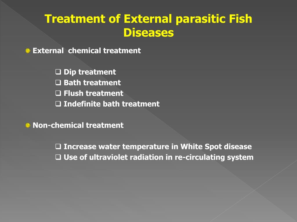PPT - Parasitic Diseases in cultured fishes PowerPoint Presentation ...