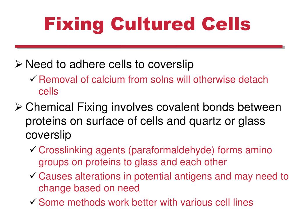 PPT - Plant and Mammalian Tissue Culture PowerPoint Presentation, free ...
