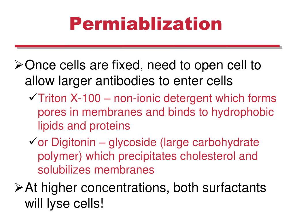 PPT - Plant and Mammalian Tissue Culture PowerPoint Presentation, free ...