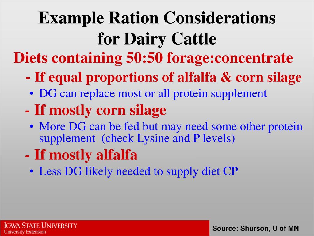 PPT - Distillers Grains and Livestock Production PowerPoint ...
