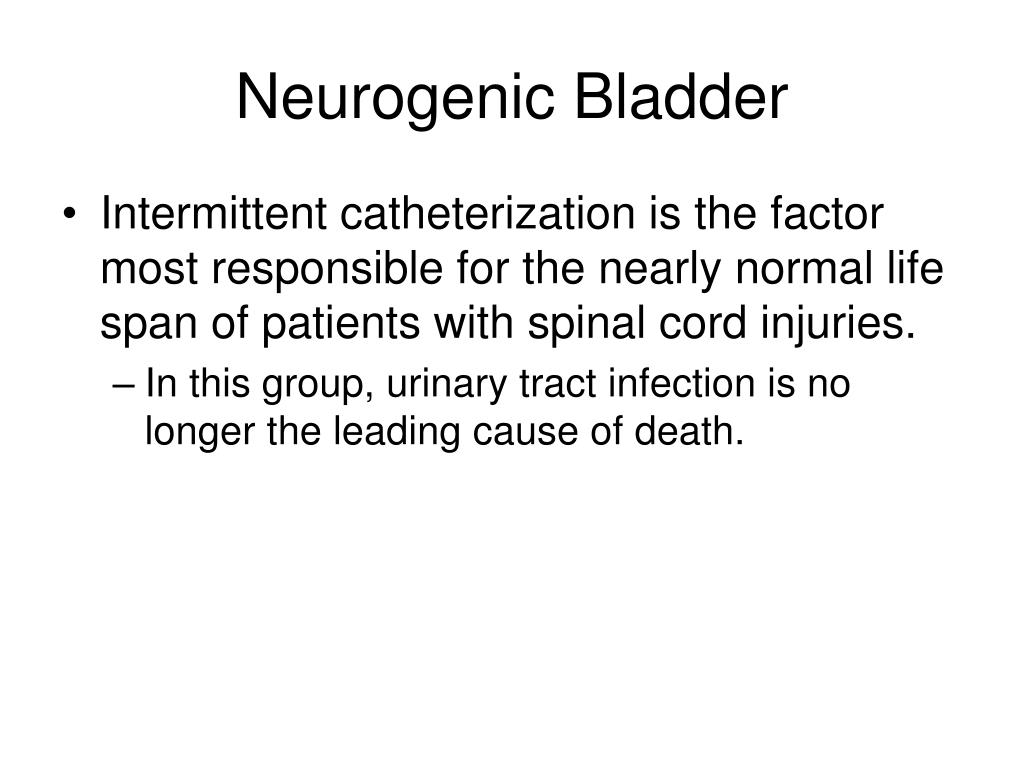 Ppt Neurogenic Bladder Neurogenic Bowel Le Weakness Powerpoint