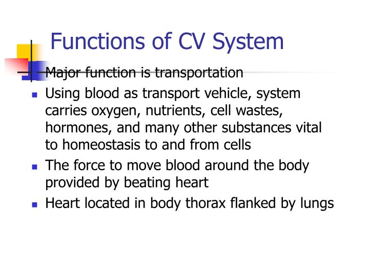 PPT - Chapter 11 The Cardiovascular System PowerPoint Presentation - ID ...