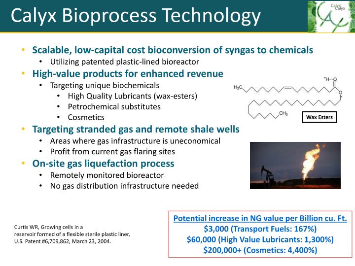 PPT - Bioprocess Technology PowerPoint Presentation - ID:1781404