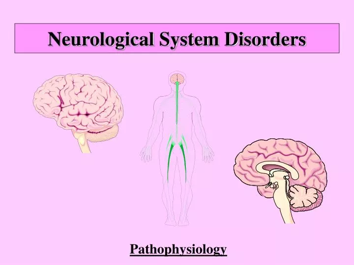 PPT - Neurological System Disorders PowerPoint Presentation, free ...