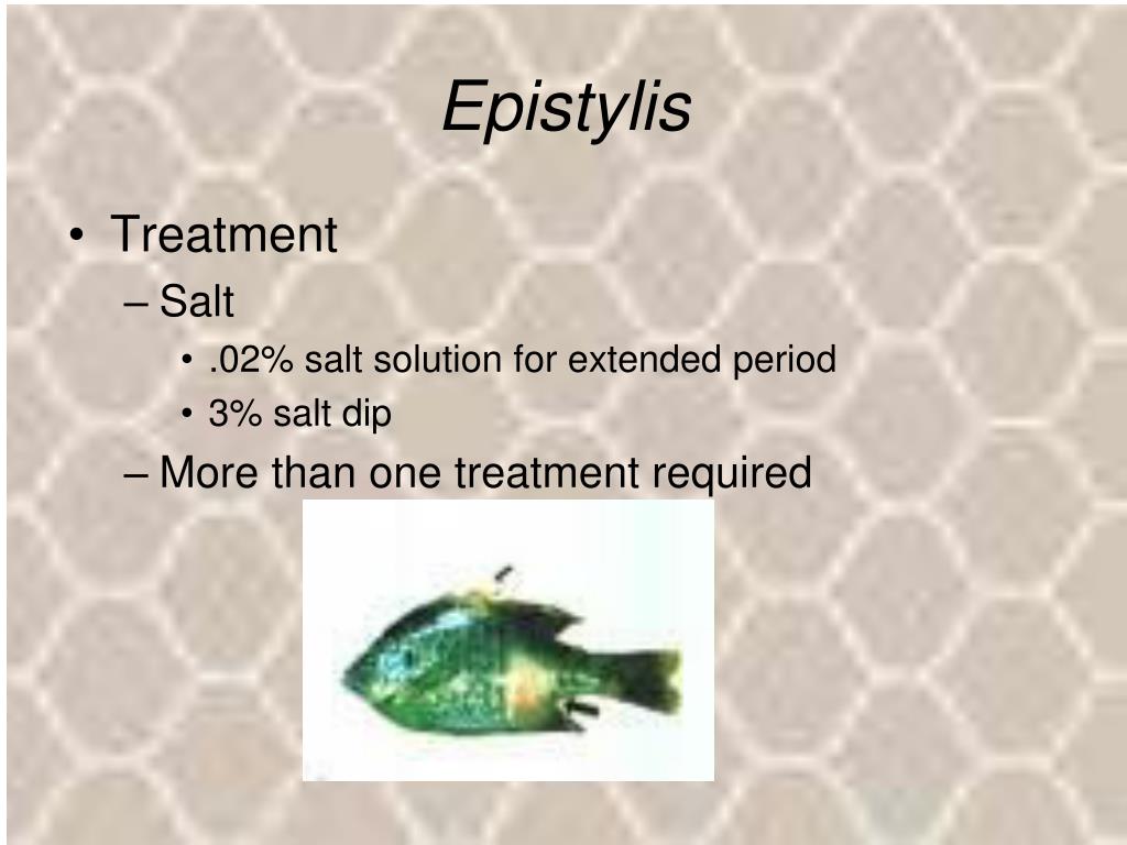 PPT - Parasitism in Freshwater Fish PowerPoint Presentation, free ...