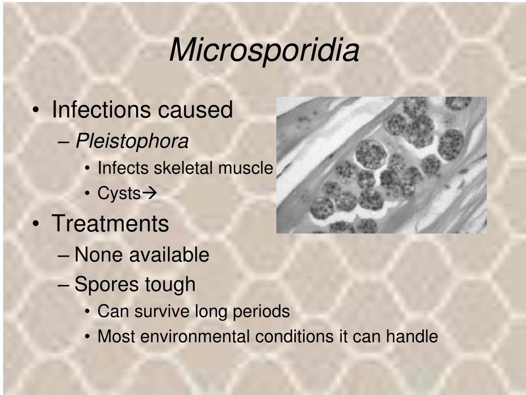 PPT - Parasitism in Freshwater Fish PowerPoint Presentation, free ...