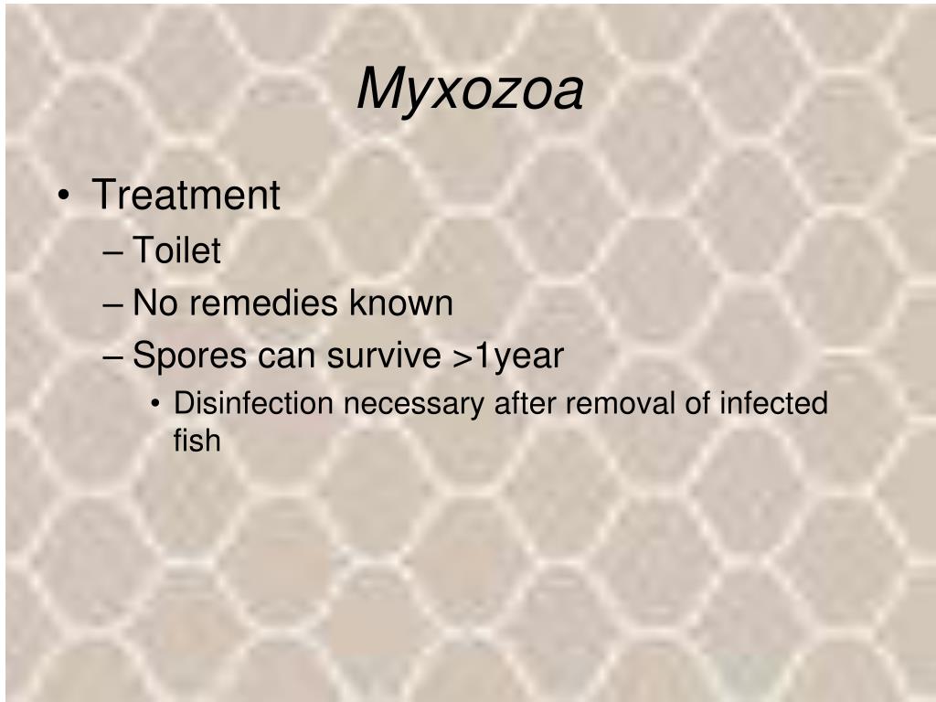 PPT - Parasitism in Freshwater Fish PowerPoint Presentation, free ...