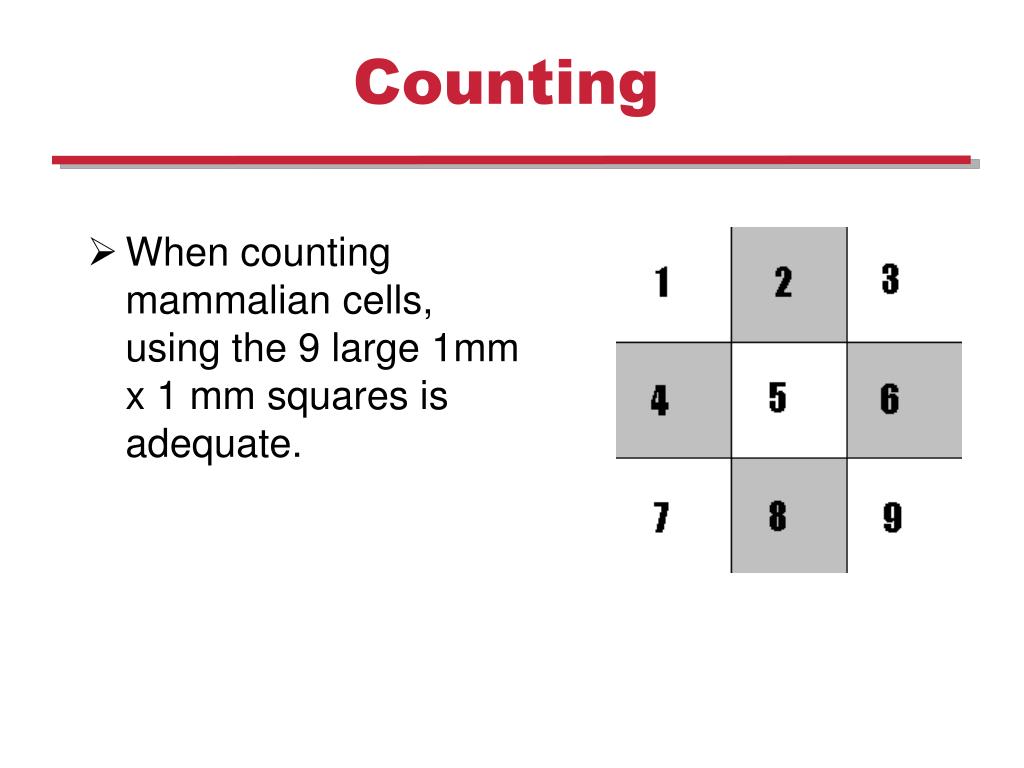 PPT - Plant and Mammalian Tissue Culture PowerPoint Presentation, free ...