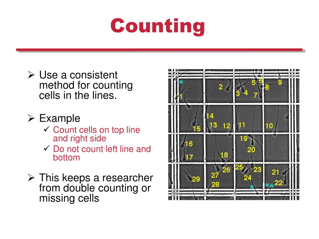 PPT - Plant and Mammalian Tissue Culture PowerPoint Presentation, free ...