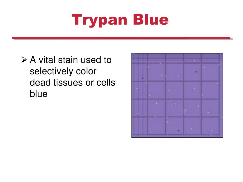 PPT - Plant and Mammalian Tissue Culture PowerPoint Presentation, free ...