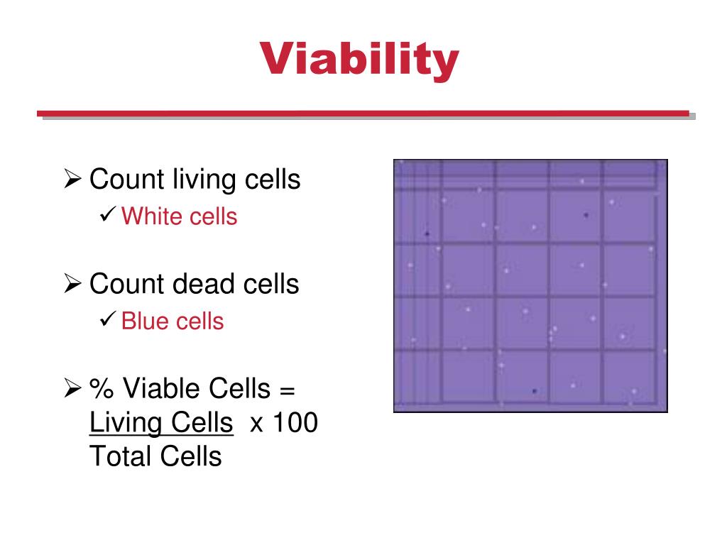 PPT - Plant and Mammalian Tissue Culture PowerPoint Presentation, free ...