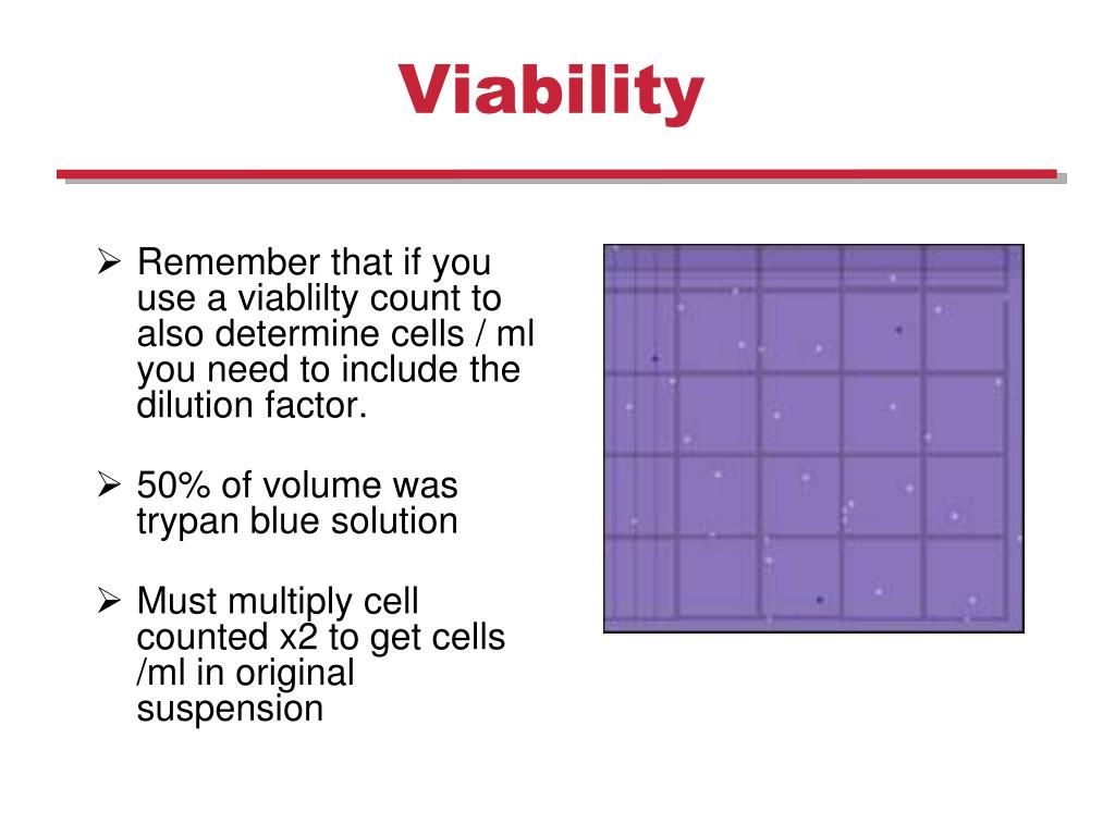 PPT - Plant and Mammalian Tissue Culture PowerPoint Presentation, free ...