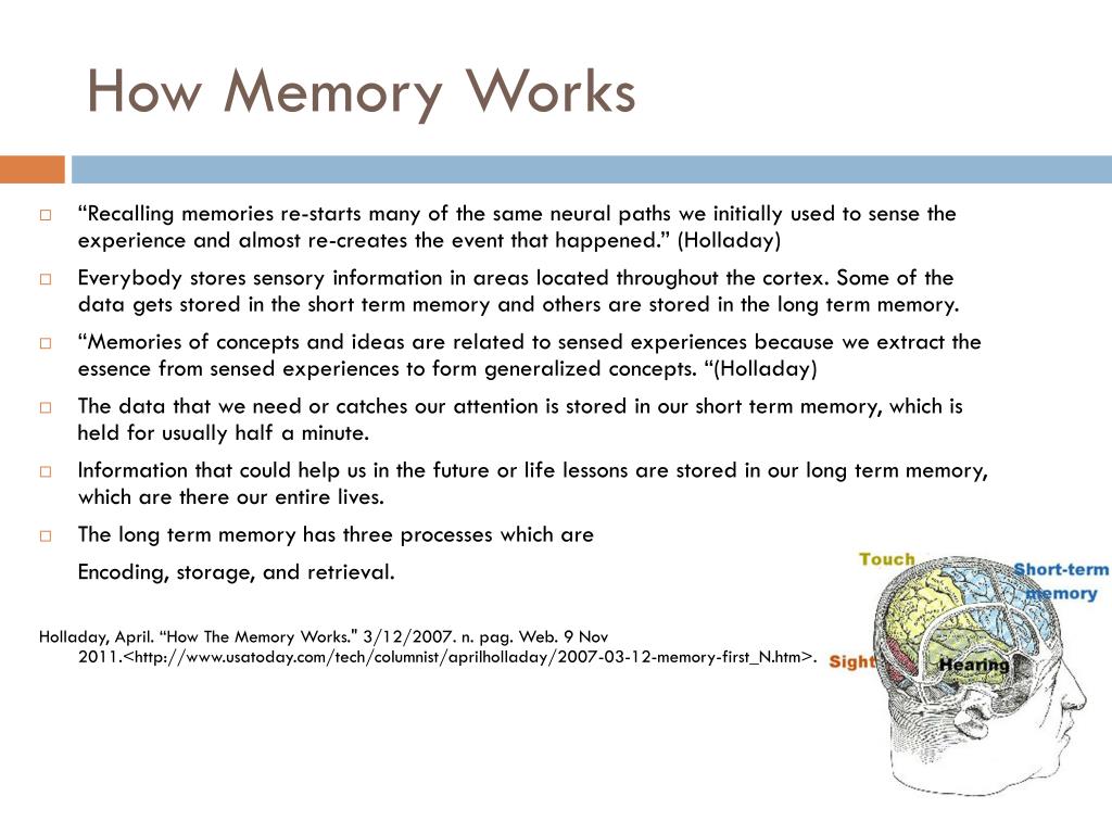 PPT - By Kaylee Lawson and Sam Norton PowerPoint Presentation, free ...