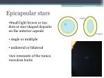 PPT - Evaluation of Paediatric Cataract PowerPoint Presentation - ID ...