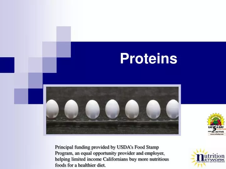 PPT - Proteins PowerPoint Presentation, free download - ID:1782297
