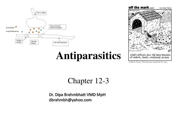 PPT - Antiparasitics PowerPoint Presentation, free download - ID:1782327