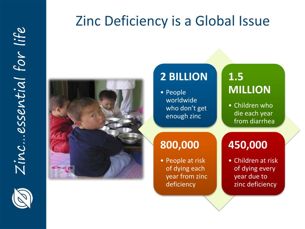 PPT - Dr. Andrew Green, Director, Zinc Nutrient Initiative 2013 ...