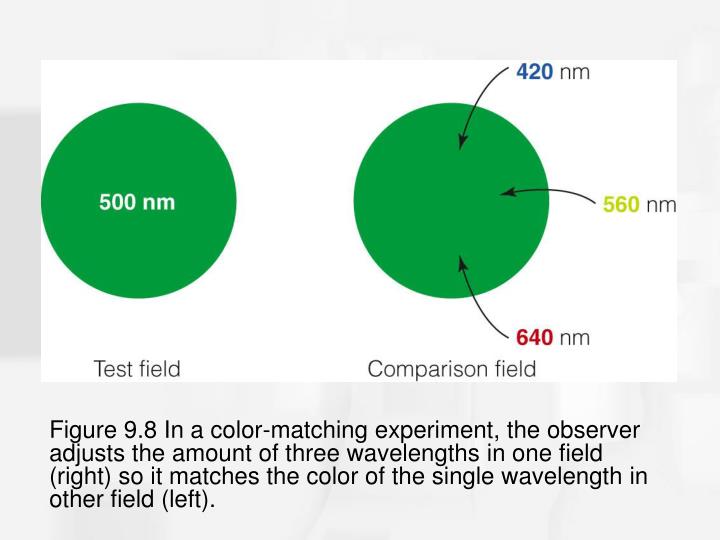 PPT - Chapter 9: Color Vision PowerPoint Presentation - ID:1782672