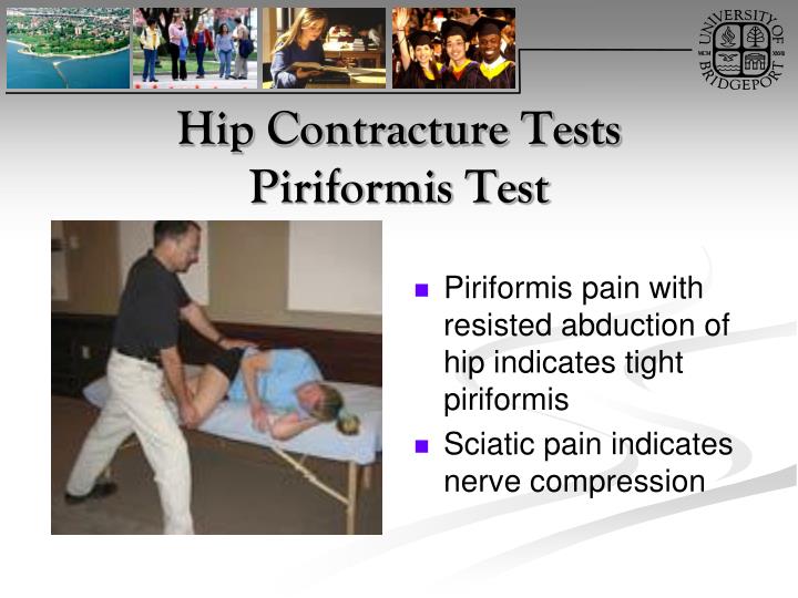 PPT - Hip Joint Orthopaedic Tests Orthopedics DX 611 PowerPoint ...