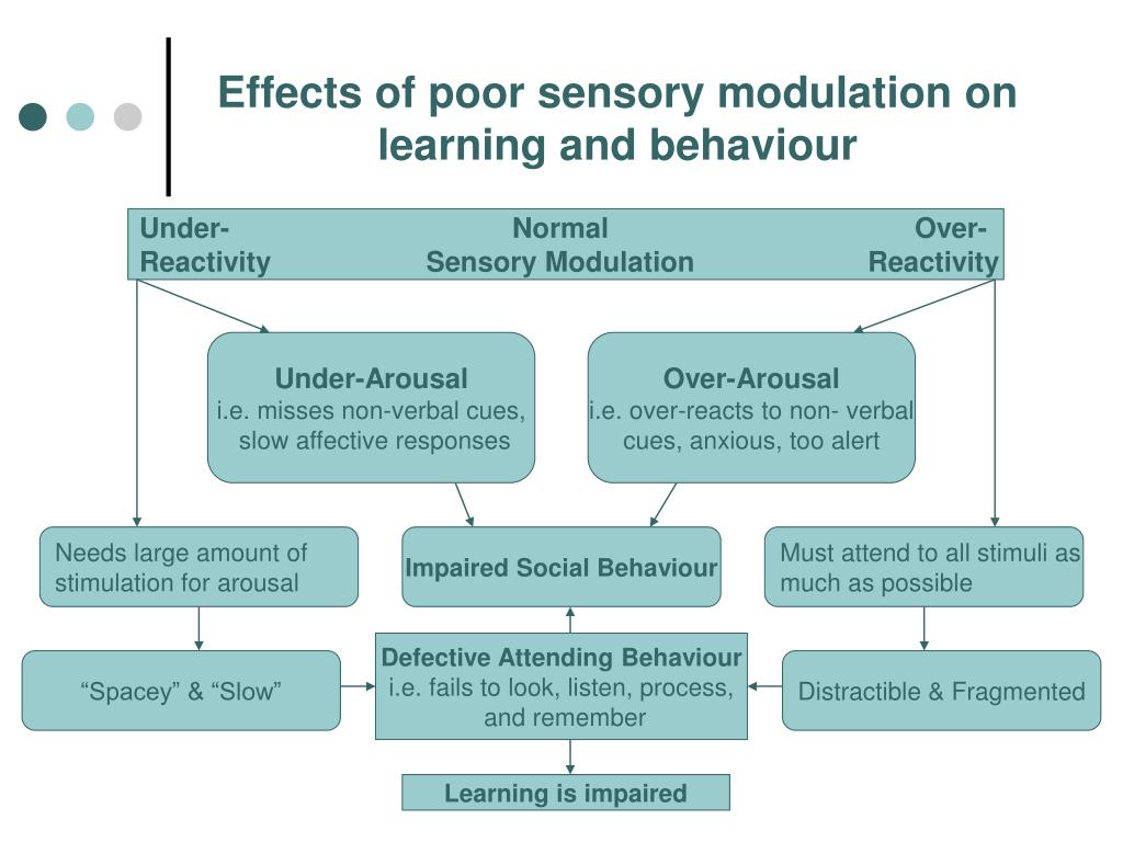 PPT - Occupational Therapy & Speech and language Therapy Lenses on ...