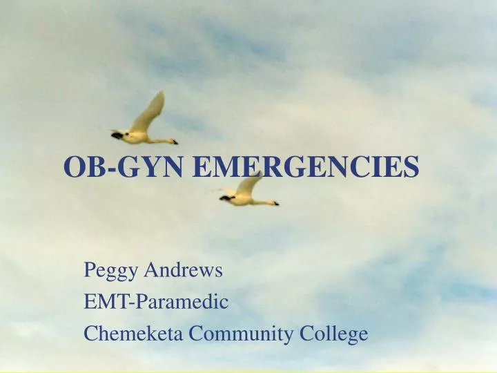 PPT - OB-GYN EMERGENCIES PowerPoint Presentation, free download - ID ...