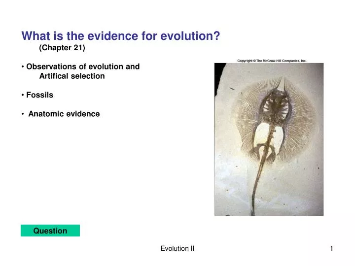 PPT - What is the evidence for evolution? (Chapter 21) Observations of ...