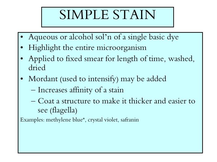 PPT - CHAPTER 3 Observing Organisms Through a Microscope PowerPoint ...