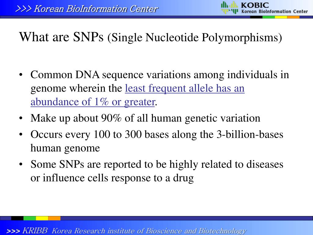 Ppt Snp Promoter A Database Of Human Snps Single Nucleotide