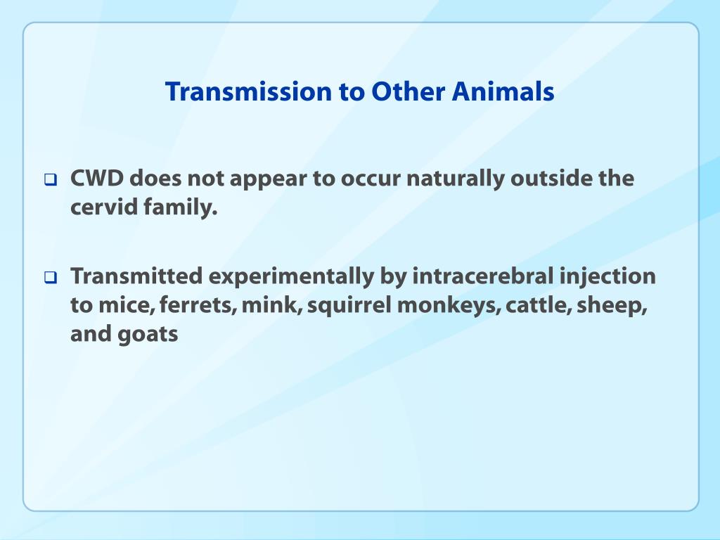 PPT - Chronic Wasting Disease: A Zoonotic Disease? PowerPoint ...