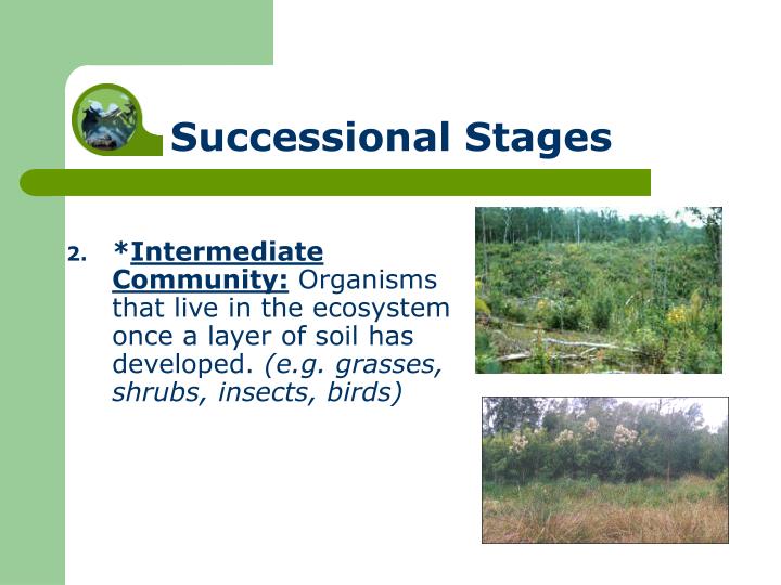 PPT - Succession Part II PowerPoint Presentation - ID:1783972