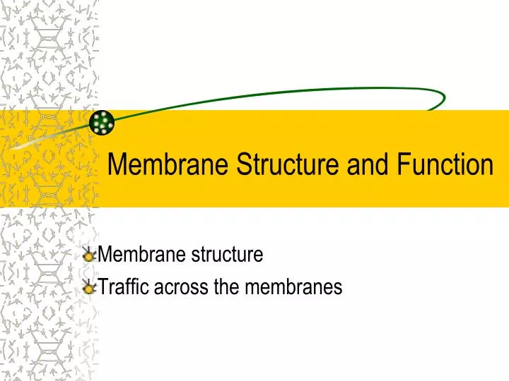 PPT - Membrane Structure and Function PowerPoint Presentation, free ...