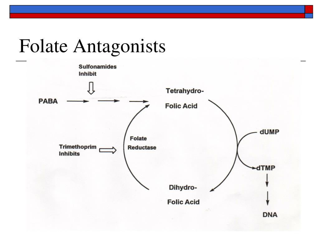PPT - Anti-Parasitic Drugs PowerPoint Presentation, free download - ID ...