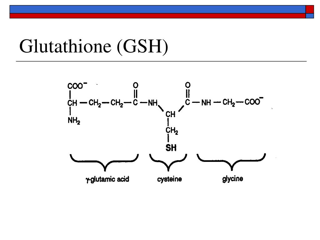 PPT - Anti-Parasitic Drugs PowerPoint Presentation, free download - ID ...