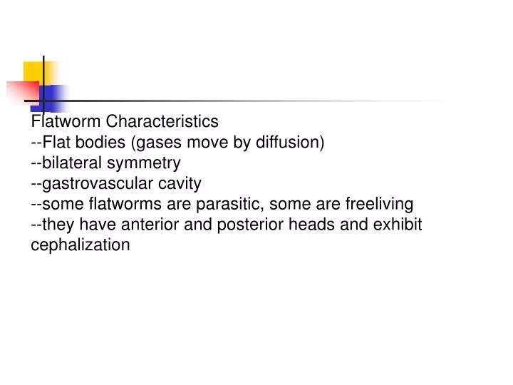 PPT - Flatworm Characteristics PowerPoint Presentation, free download ...