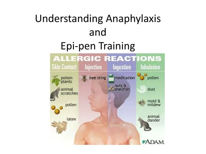 PPT - Understanding Anaphylaxis and Epi-pen Training PowerPoint Presentation - ID:1784447