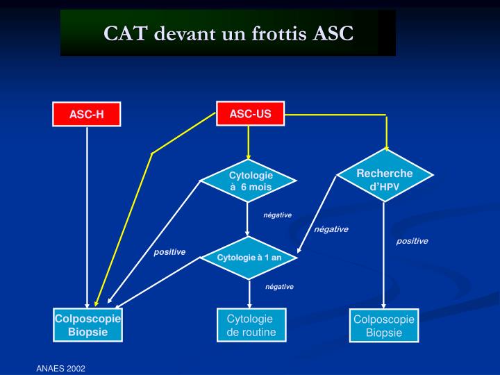 PPT - FROTTIS CERVICO VAGINAUX PowerPoint Presentation - ID:1784542
