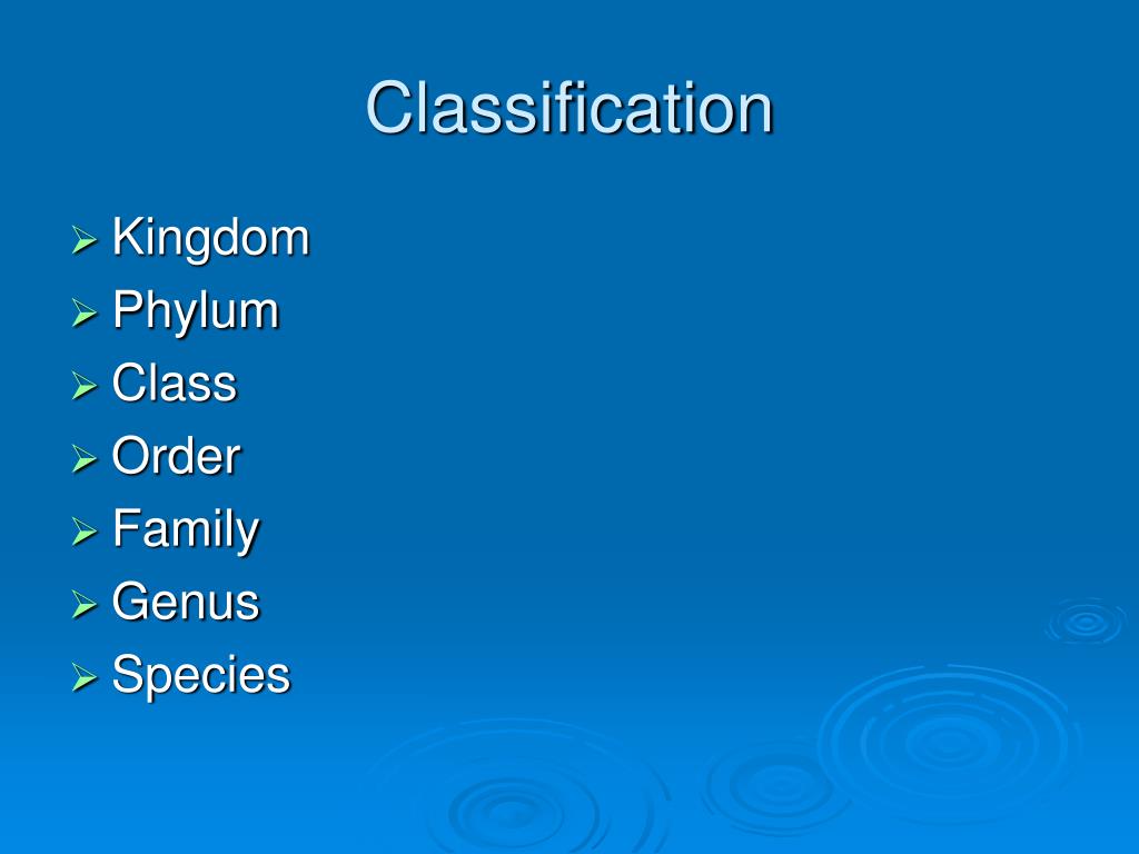 PPT - Oceans/Marine Biology PowerPoint Presentation, free download - ID ...
