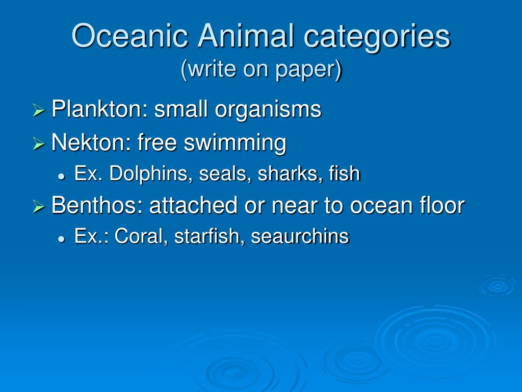 PPT - Oceans/Marine Biology PowerPoint Presentation, free download - ID ...