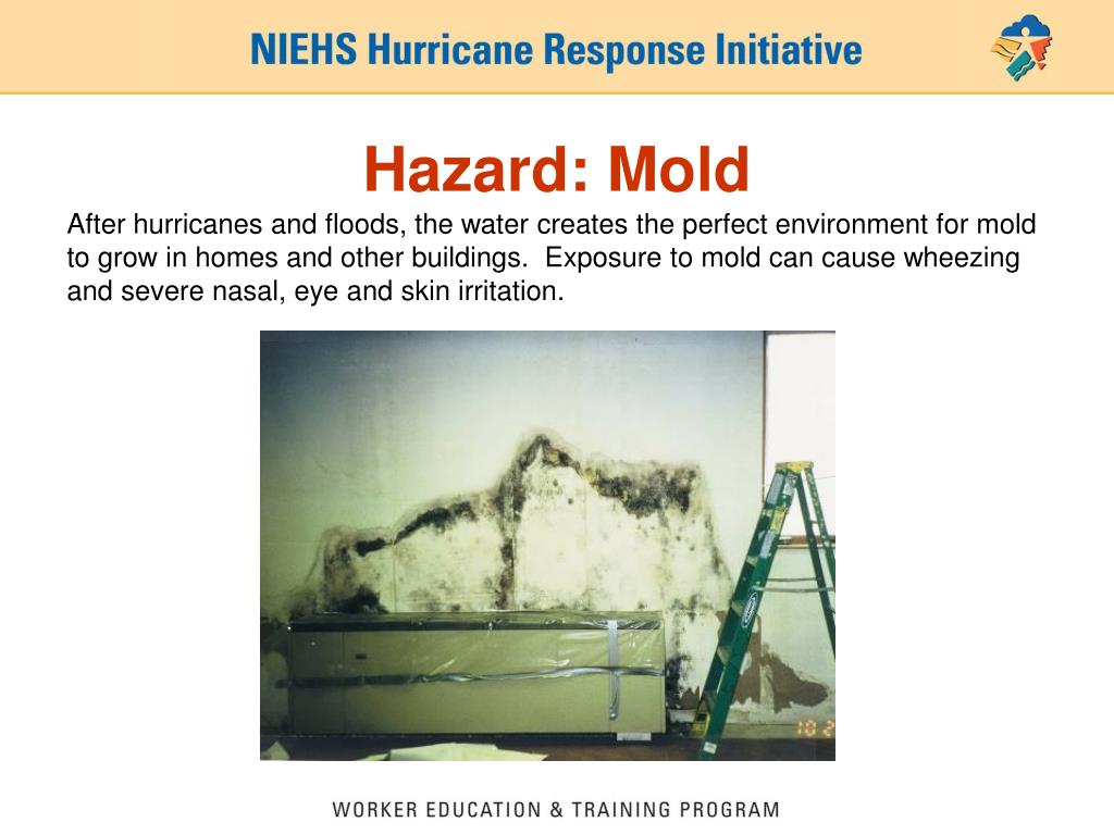 PPT - Safety Awareness for Responders to Hurricanes: Protecting ...