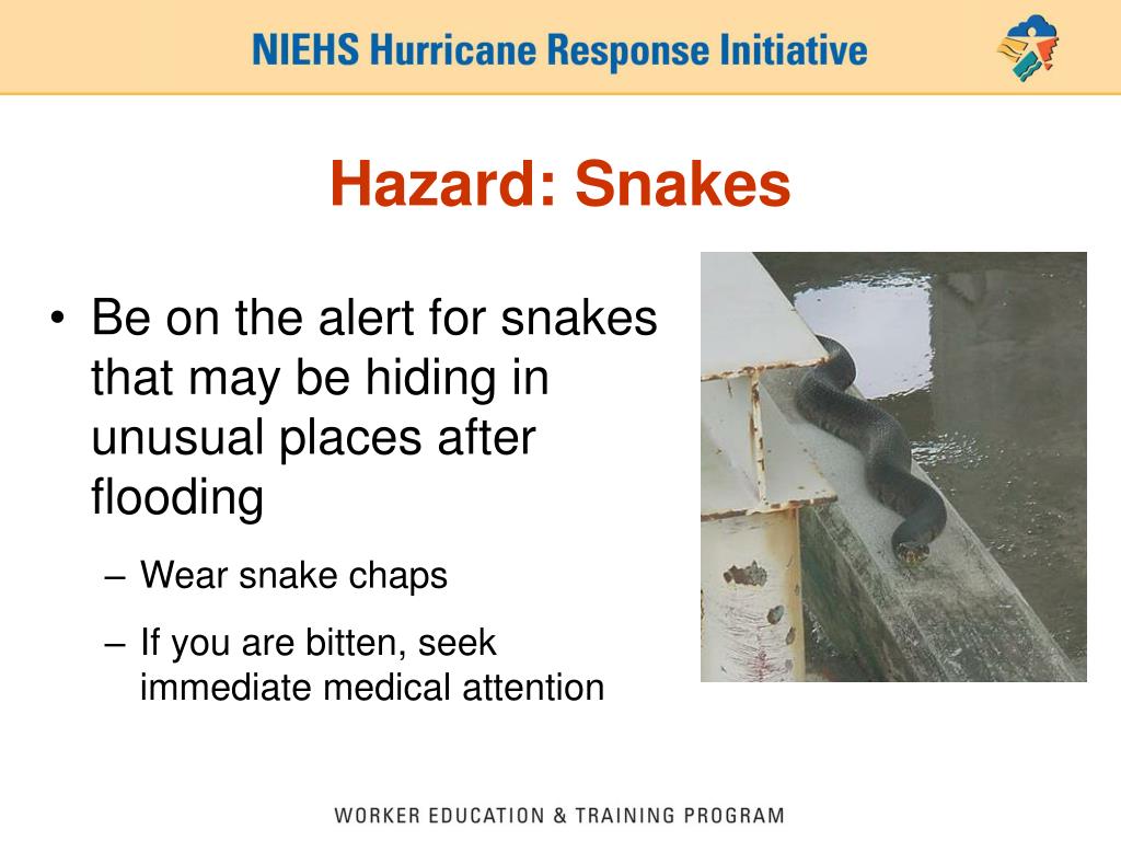 PPT - Safety Awareness for Responders to Hurricanes: Protecting ...