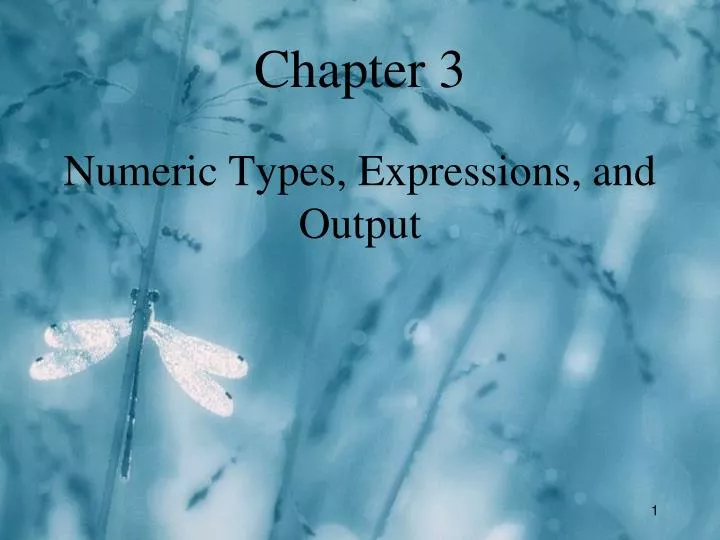 PPT - Chapter 3 Numeric Types, Expressions, and Output PowerPoint Presentation - ID:1784734